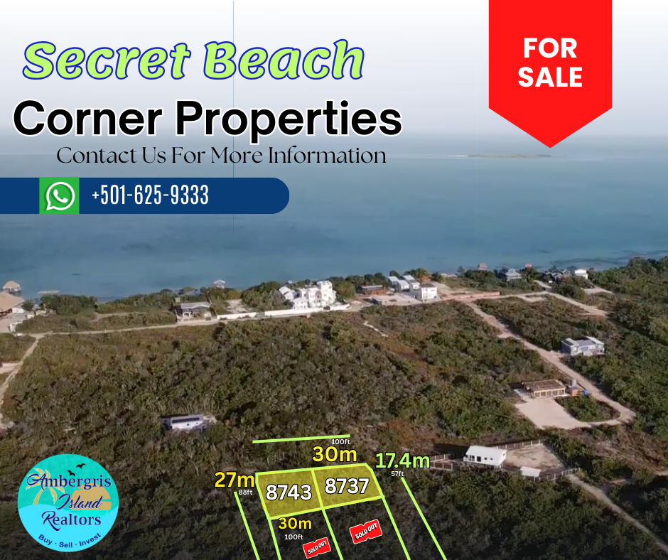 Corner double lot and future main road extension - AIS