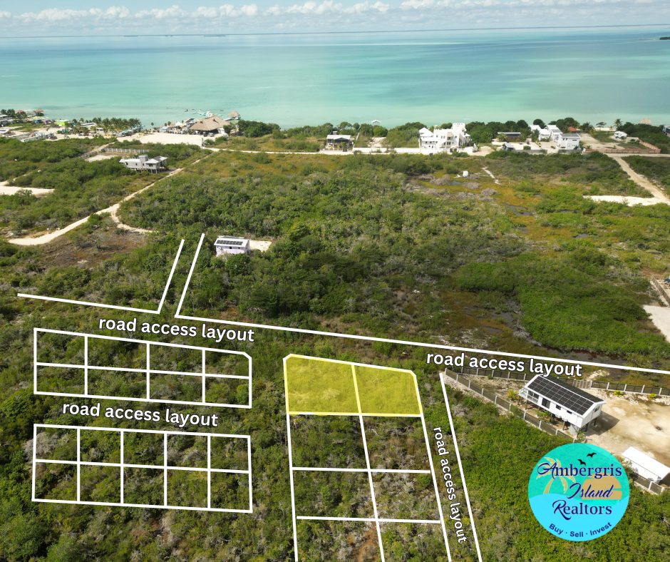 Corner double lot and future main road extension - AIS